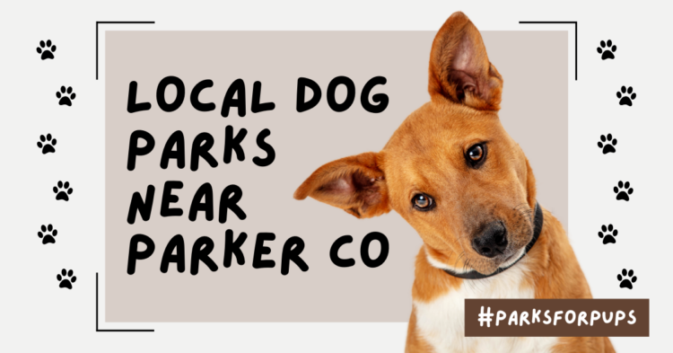 Unleashing Fun: Exploring the Best Local Dog Parks near Parker Colorado